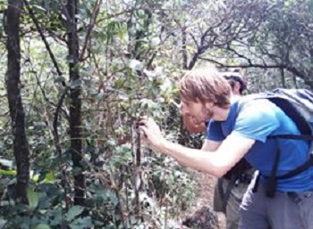Lizard Exploration of Knuckles Mountain range with Sri Lanka Trekking