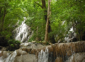 Horton Plains National Park walking with Sri lanka Trekking Team
